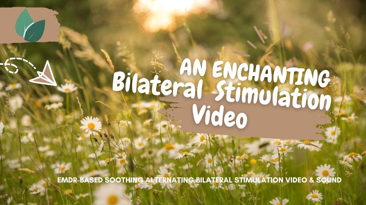 EMDR Therapy Bilateral Stimulation Tool with Bilateral Sound - Flowers ...