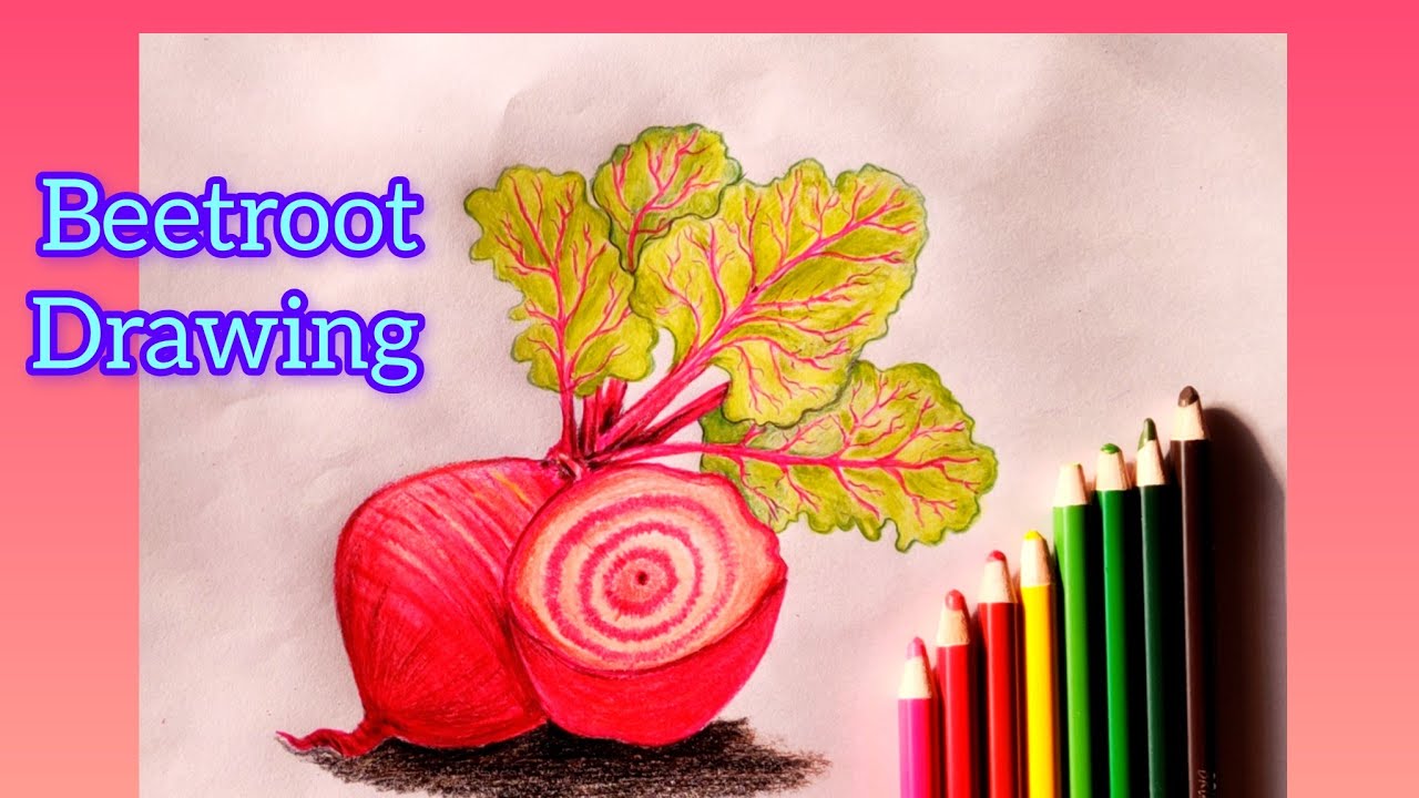 How to Draw & Colour a realistic Beetroot | Winter Vegetables| Step by ...