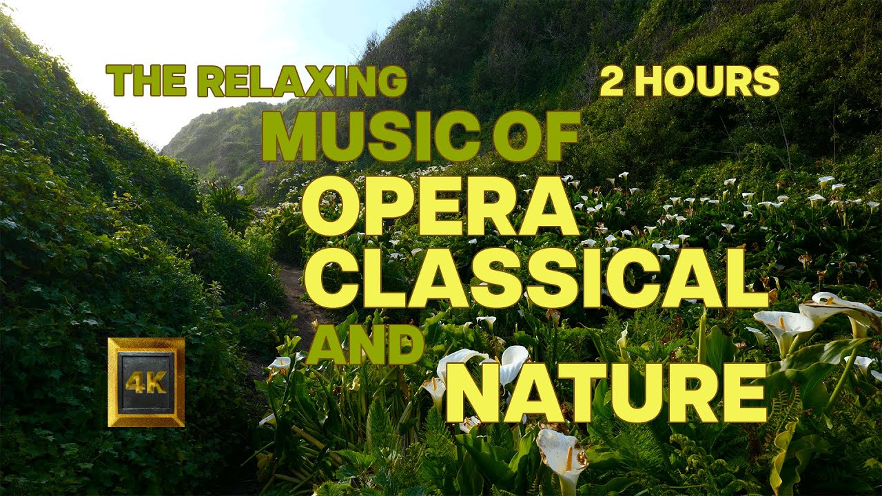 2 Hours Relaxing Sounds of Opera and Nature for Meditation and Study ...