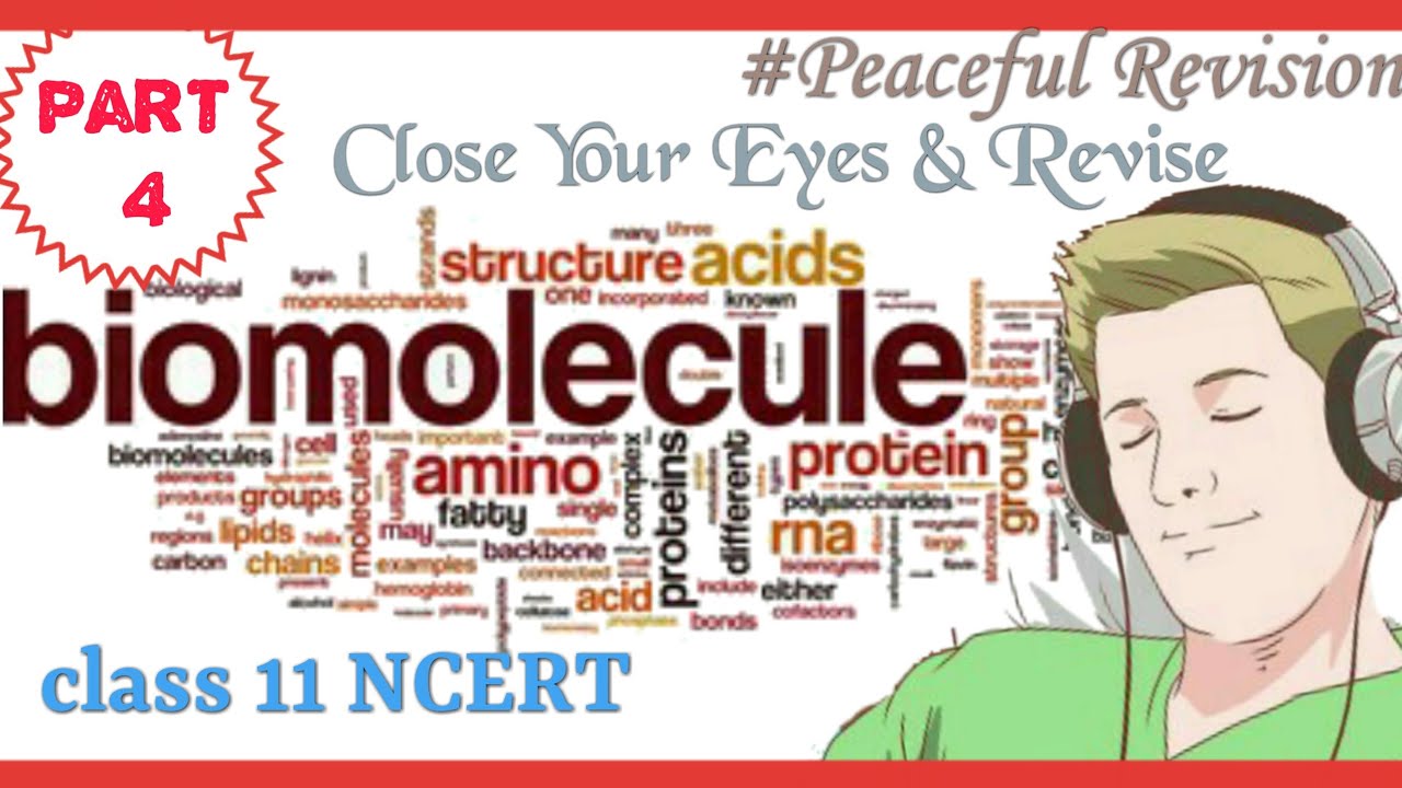 Biomolecules Class 11 Biology Biomolecules Class 11 Biology Neet biomolecules-class-11-biology-biomolecules-class-11-biology-neet