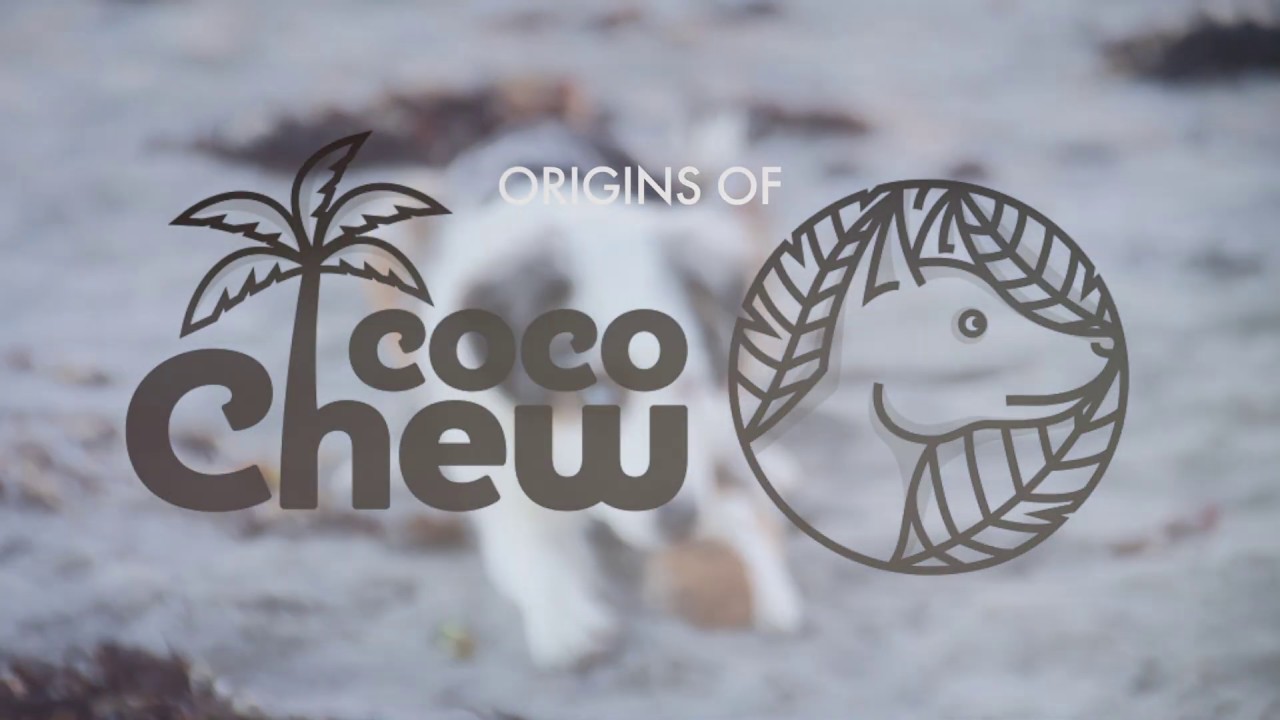 Coco Chew Origin Story - YouTube