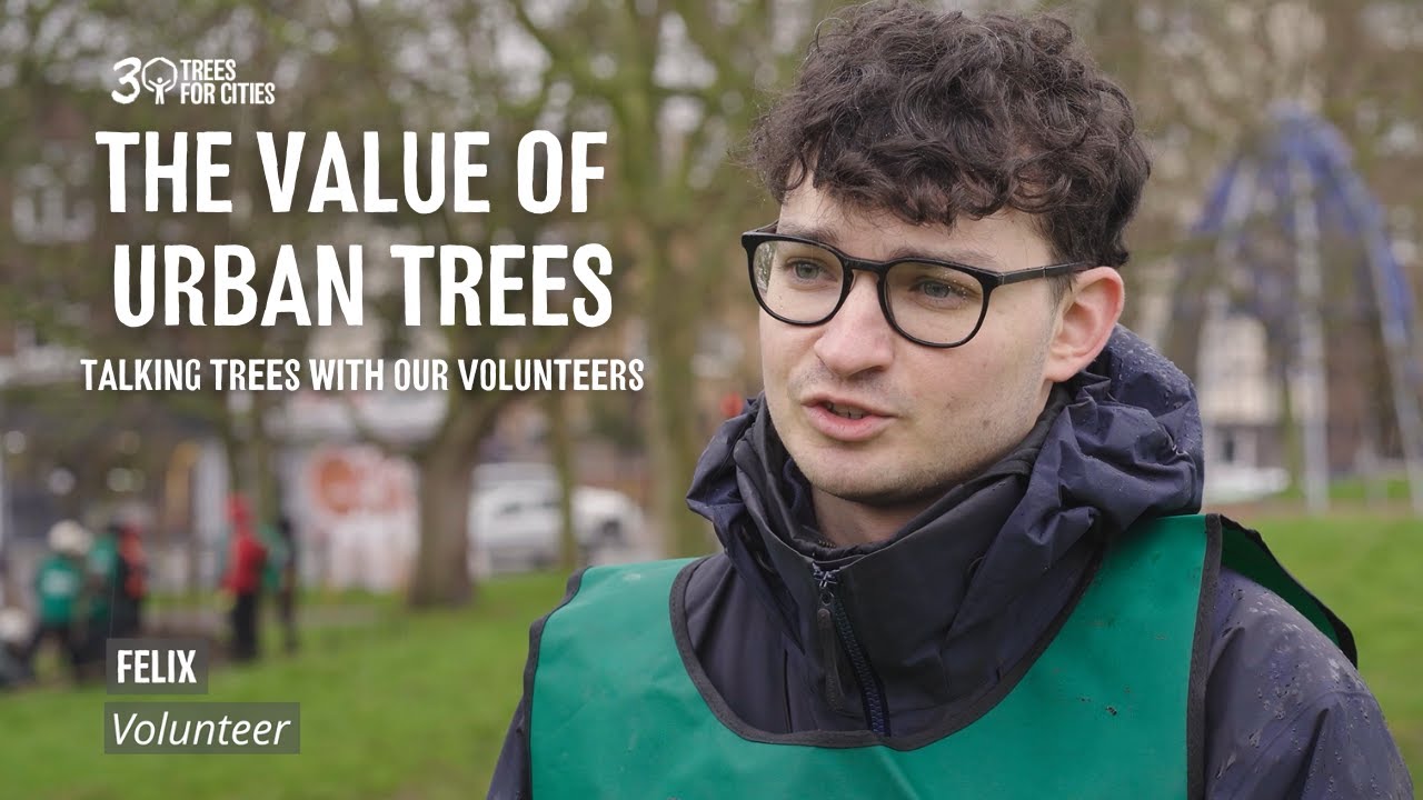 Talking Trees: The value of urban trees - YouTube