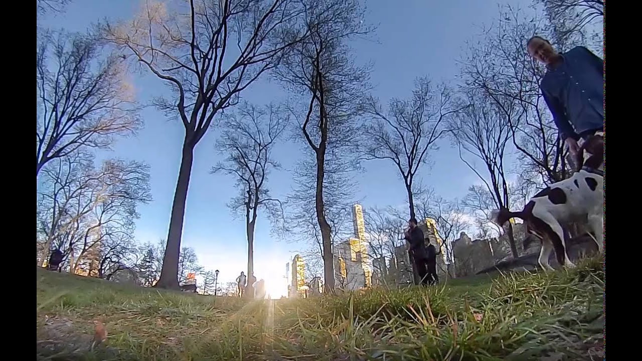 Matt Dobkin & Dog - YouTube