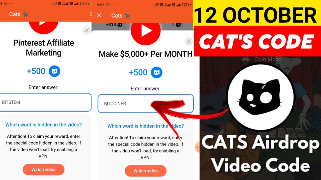 Pinterest Affiliate Marketing Cats Video Code | Cats Youtube Code Today ...