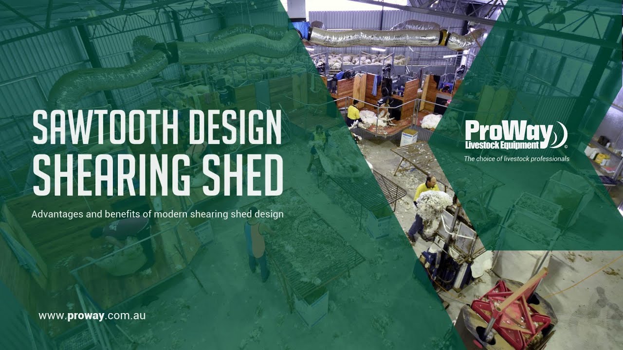 Sawtooth Shearing Shed Advantages - YouTube
