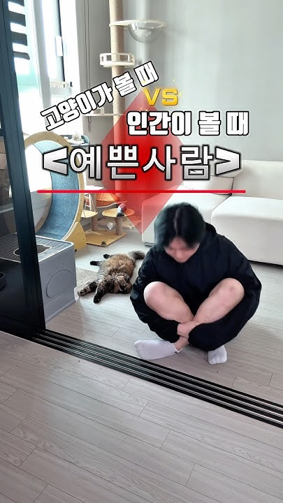 예쁜사람 볼 때 인간vs고양이 - YouTube