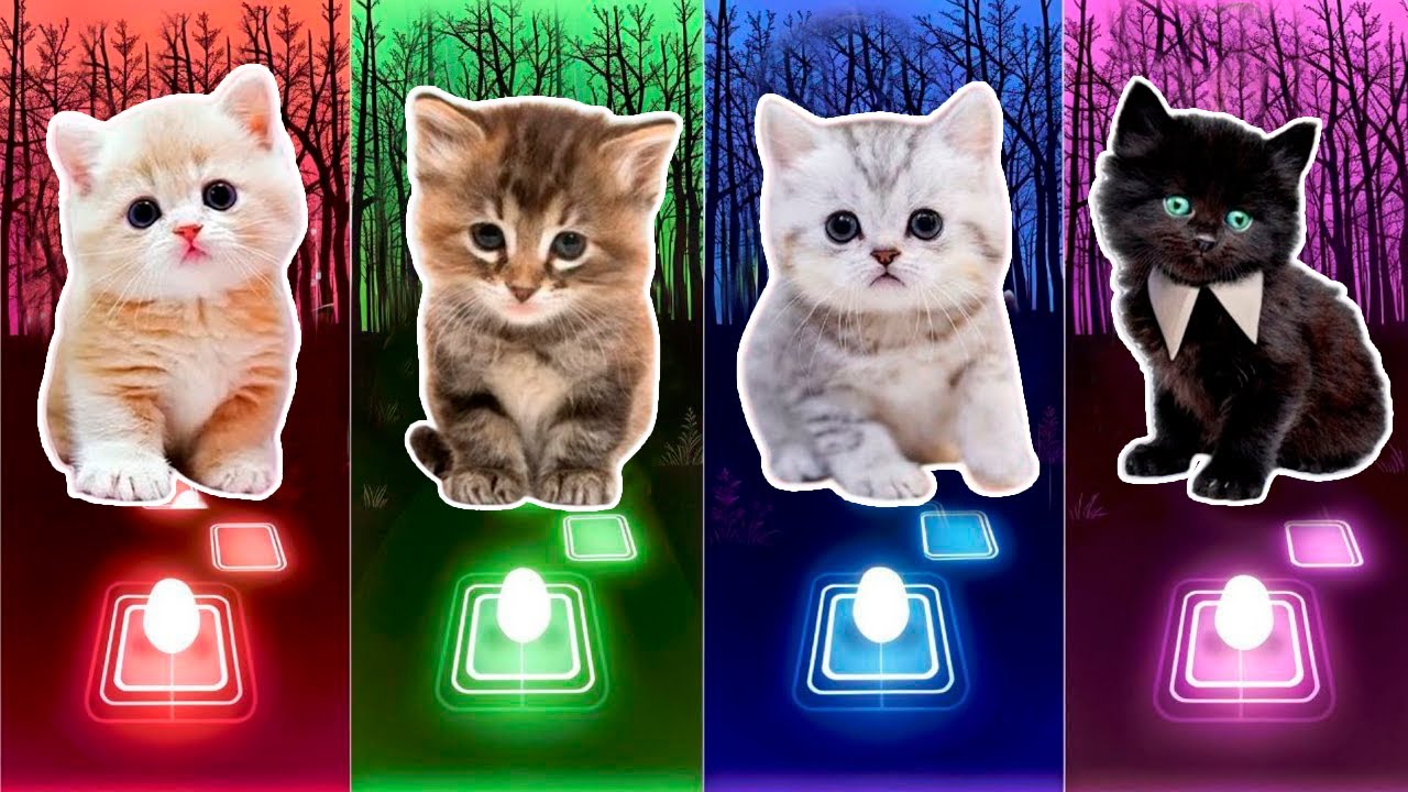 Cute Cats BLACKPINK KILL THIS LOVE vs JENNIE SOLO vs LISA MONEY vs BTS ...