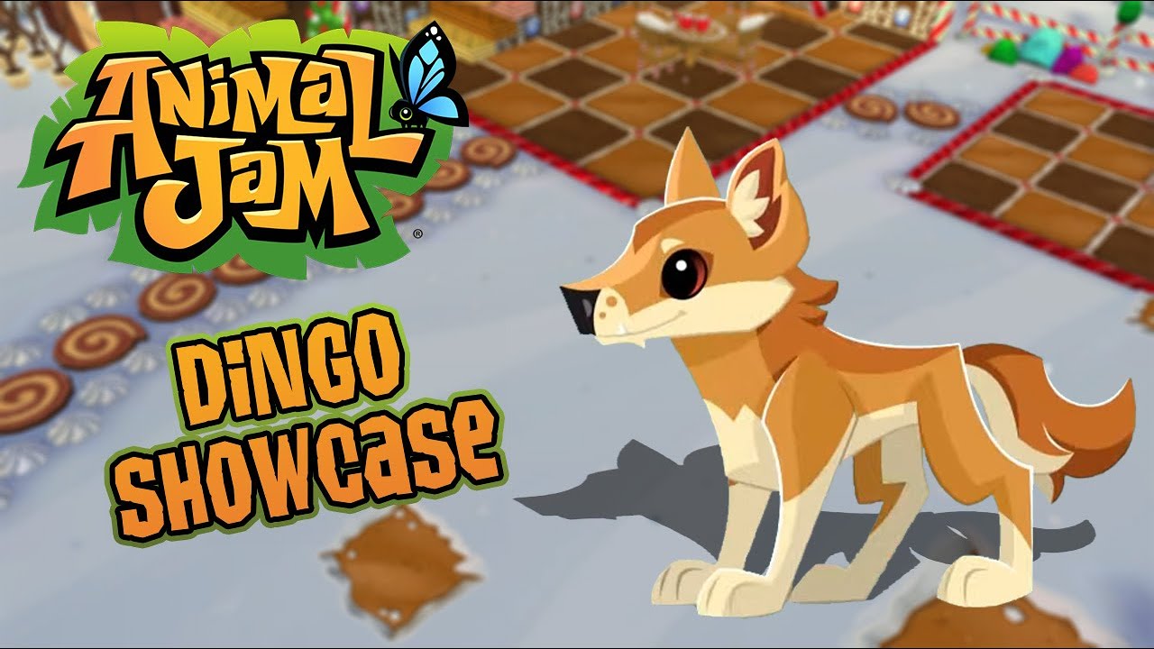 Animal Jam - Animal Showcase: Dingo - YouTube