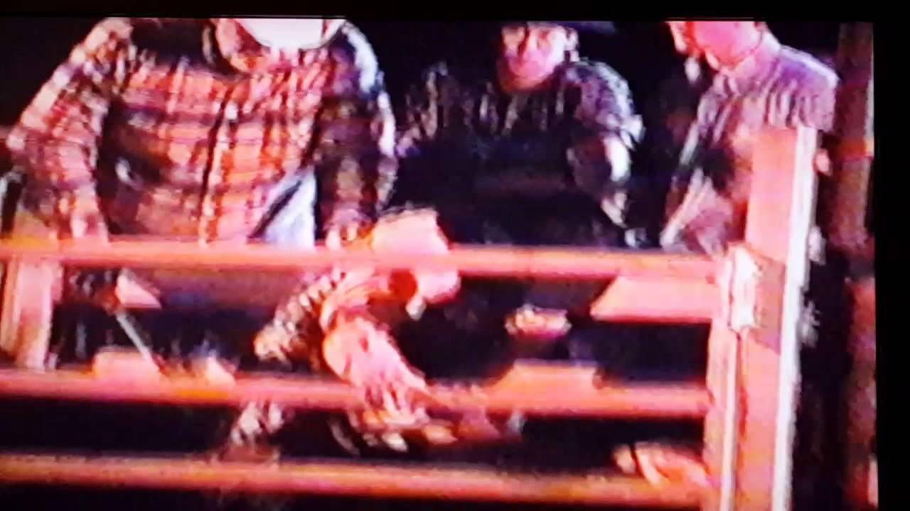 Roy Dinges bullriding NABA 5/9/2003 - YouTube