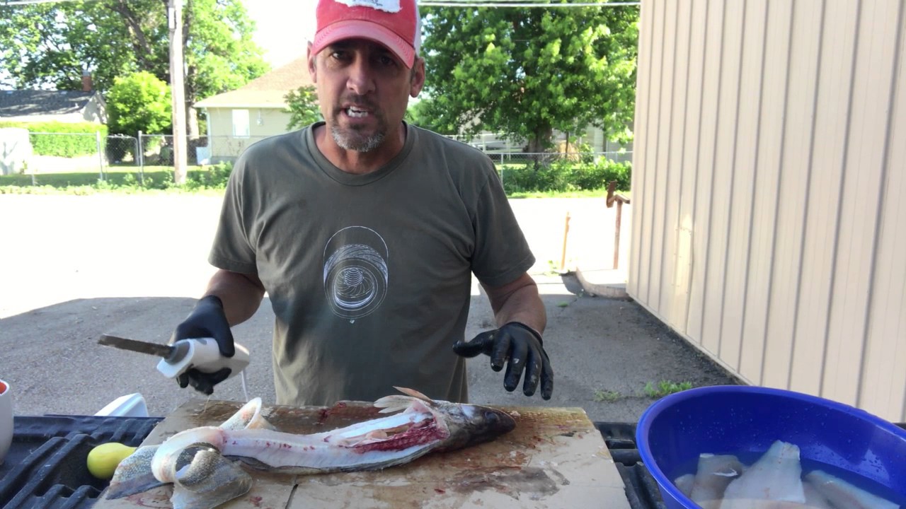 Fish Fillets... Morning Java with Les! - YouTube