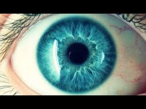 The Origin Of Blue Eyes - The Ancient Gods And Their Royal Descendants ...