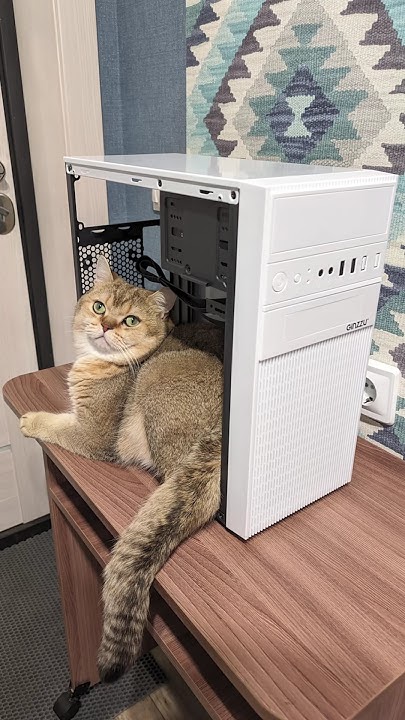 САМЫЙ ДЕШЕВЫЙ БЕЛЫЙ ИГРОВОЙ КОРПУС С БОКОВЫМ СТЕКЛОМ. ОБЗОР GINZZU D290 - 1500 РУБЛЕЙ. КУПИЛ НА ...