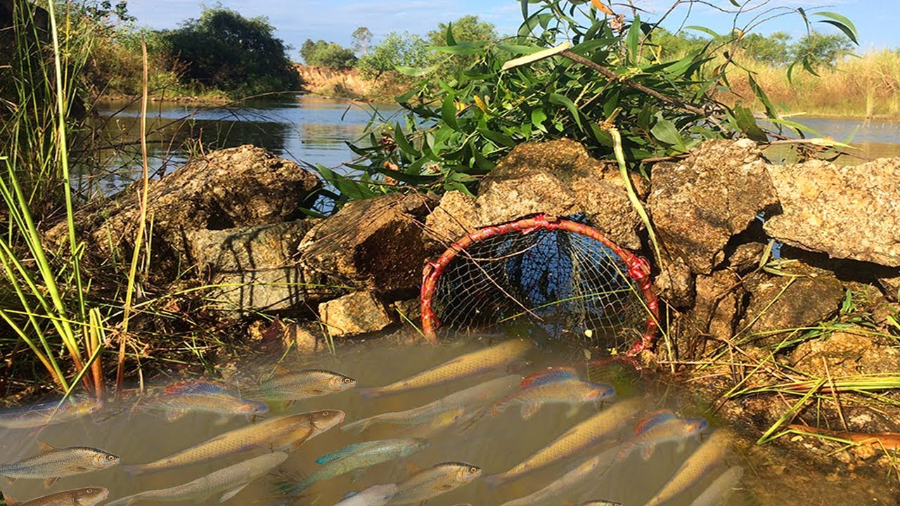 Build Underground Fish trap from Clay mud with green grass ...