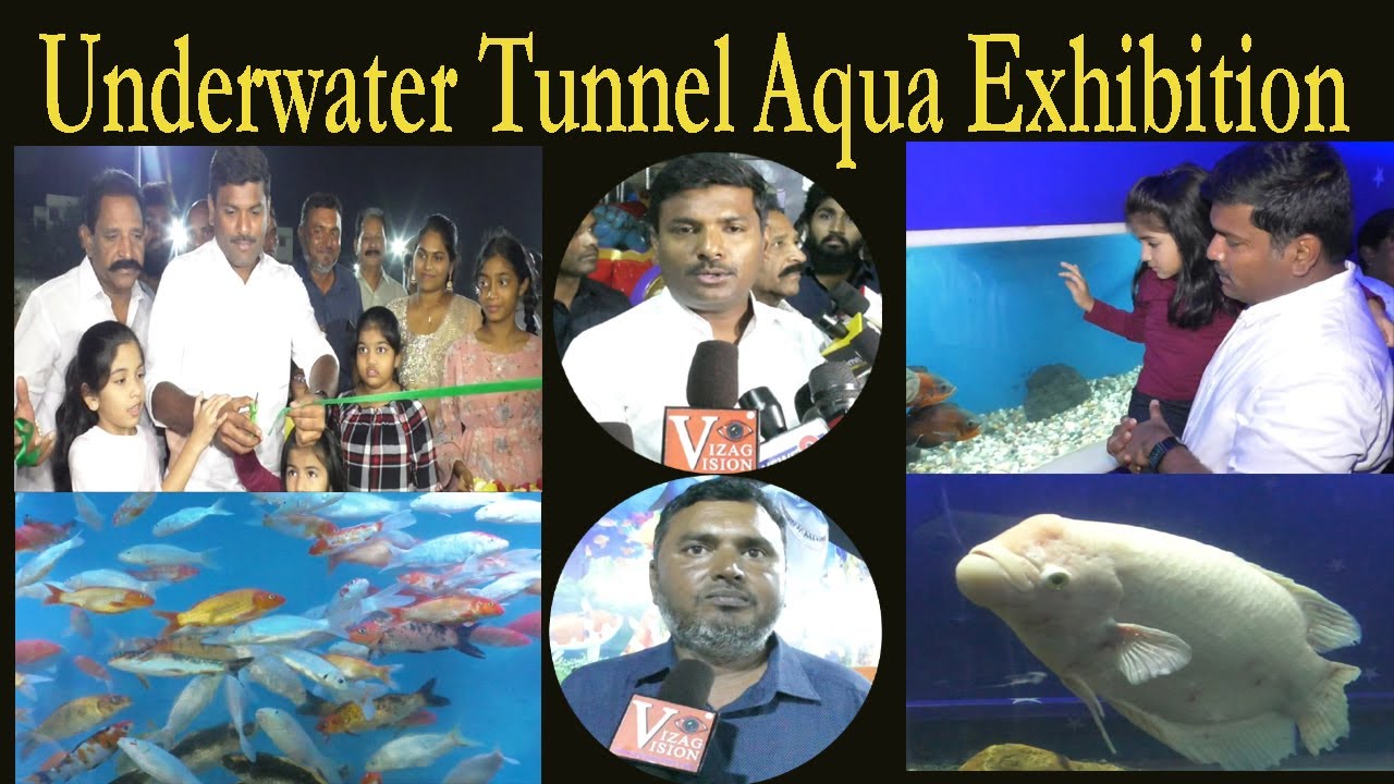 Underwater Tunnel Aqua Exhibition Grand Opening AU Grounds BeachRoad ...