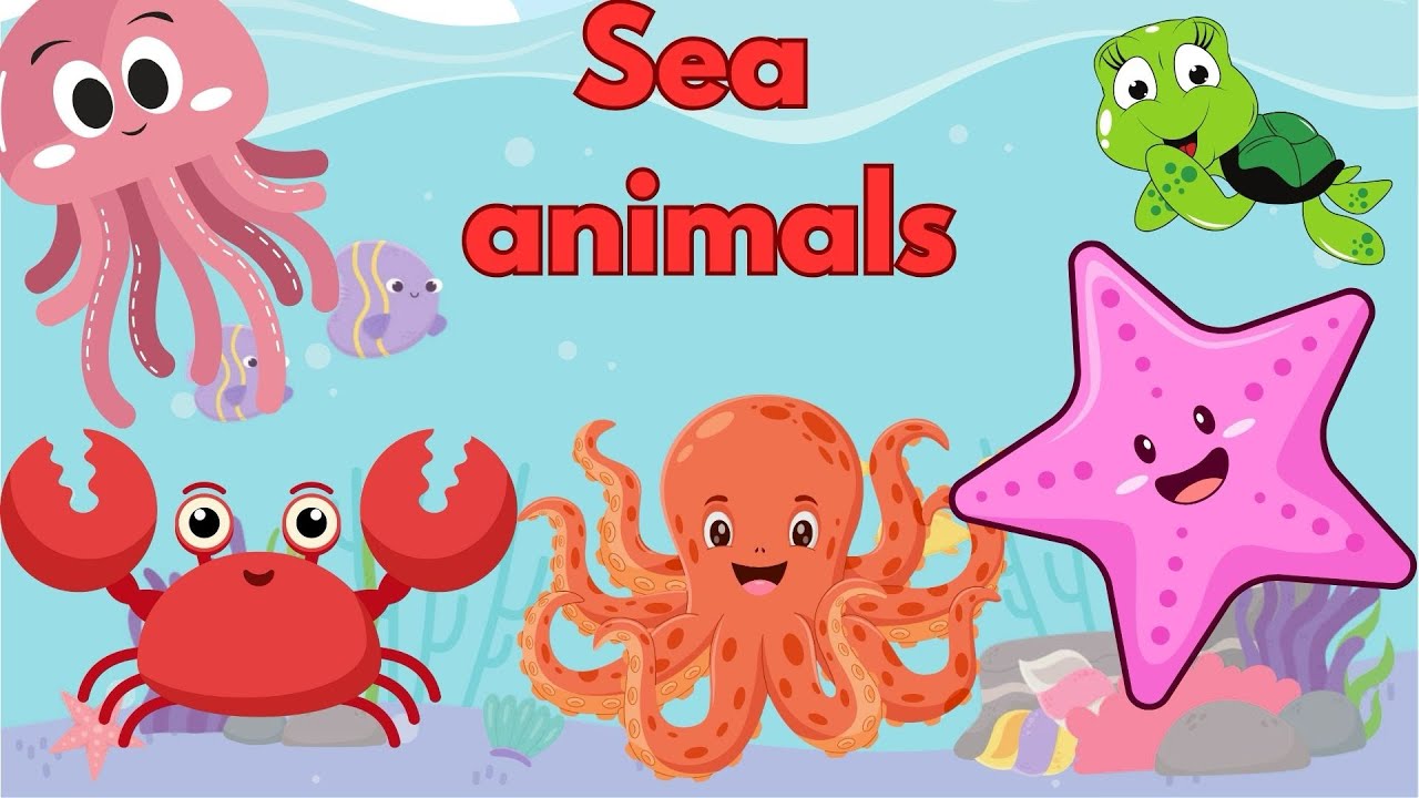 Sea animals | song for kids | learn sea animals - YouTube