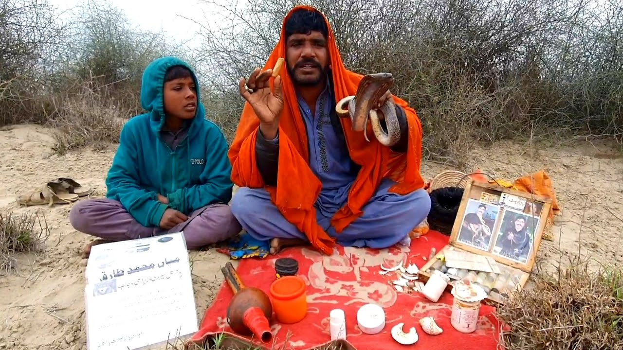 Jogi is Talking about Arna Booti and Remedies for Snake Bite - YouTube