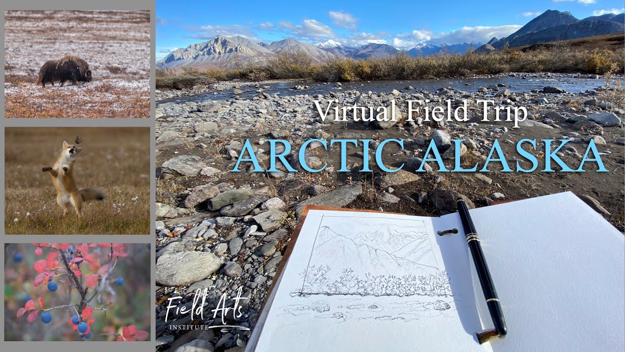 Virtual Field Trip to Arctic Alaska - YouTube