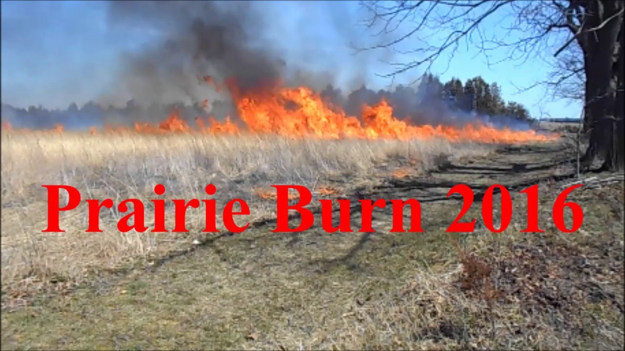 Prairie Burn 2016 Highgate - YouTube