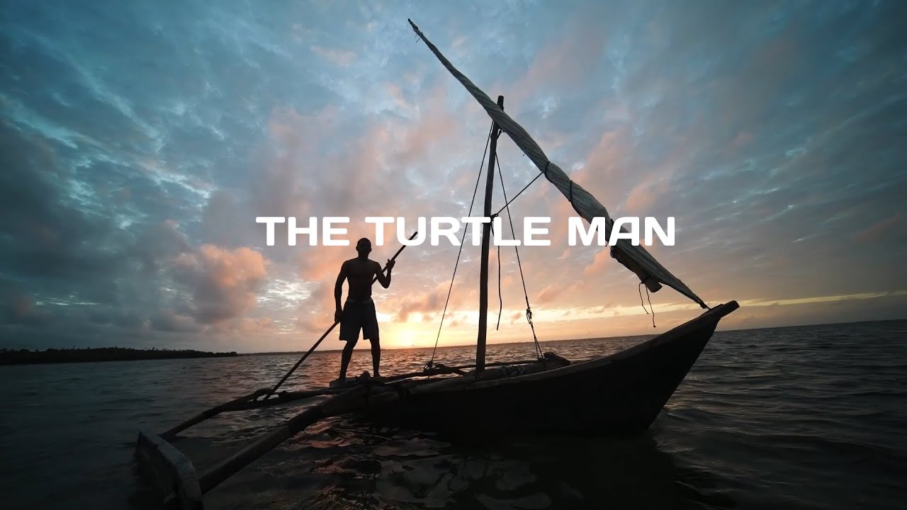 The Turtle Man - YouTube