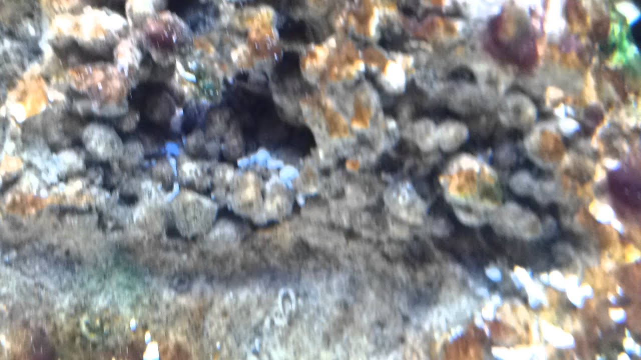 Vistenk - YouTube