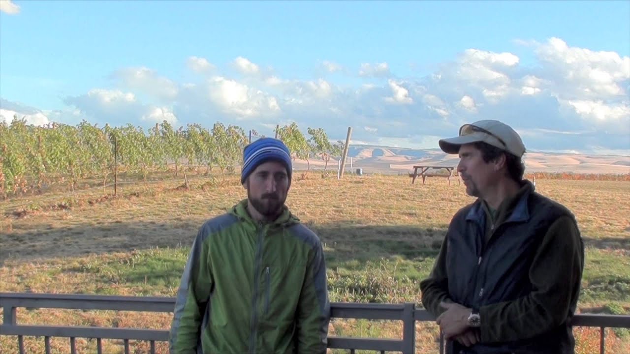 Kerloo Cellars--Wines of Place--Walla Walla, WA - YouTube