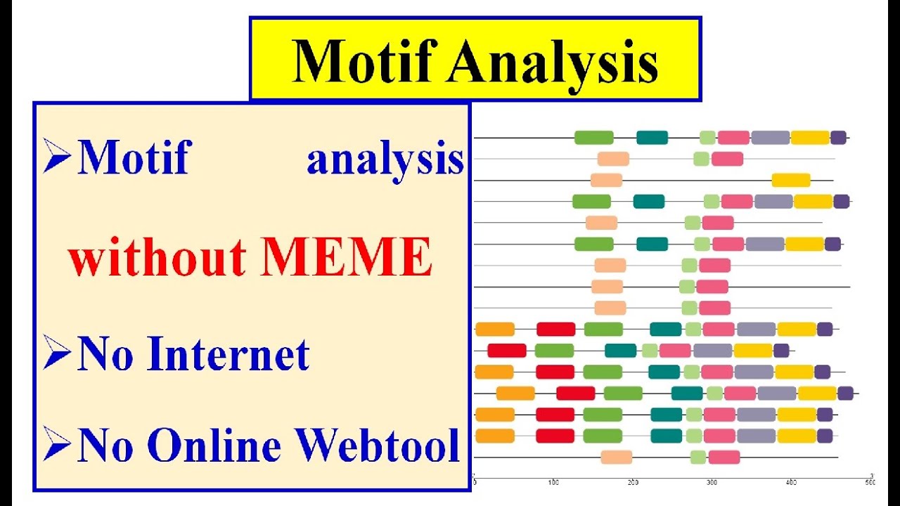 Memes Motif Finder