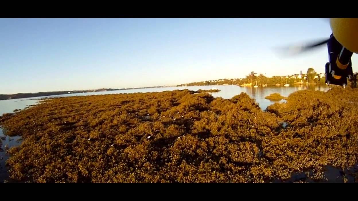 Meola Reef March-HD 720p - YouTube