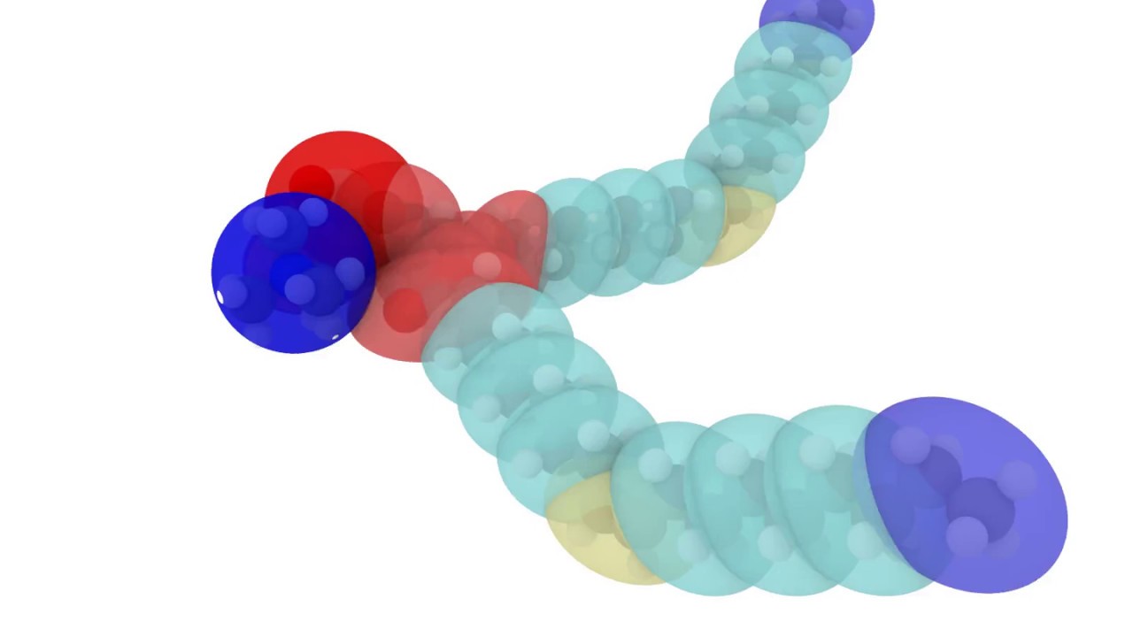 DOPC lipid MD simulation - YouTube