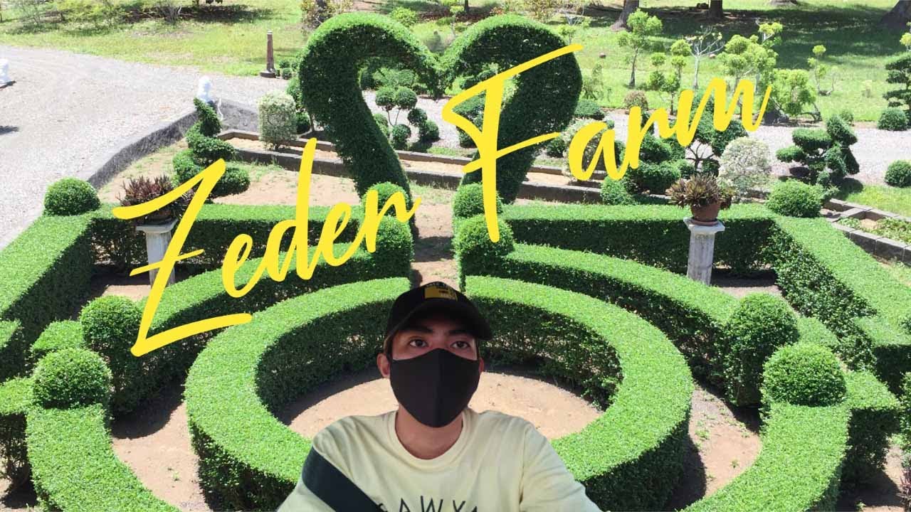 Zeder Farm 😁 - YouTube