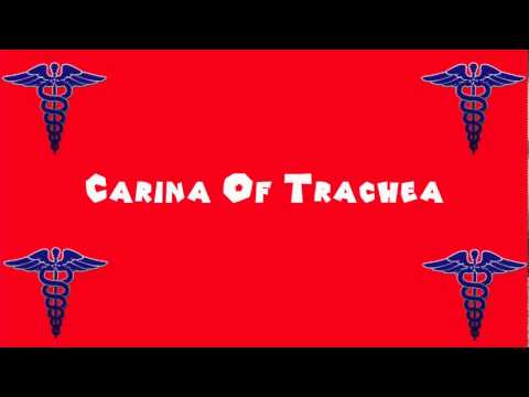 Pronounce Medical Words ― Carina Of Trachea - YouTube