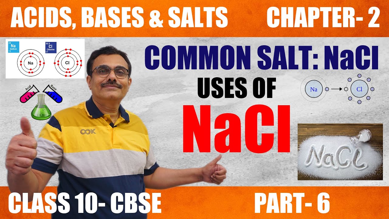 Common Salt: NaCl & Uses of NaCl | Acids, Bases & Salts | Chapter 2 ...