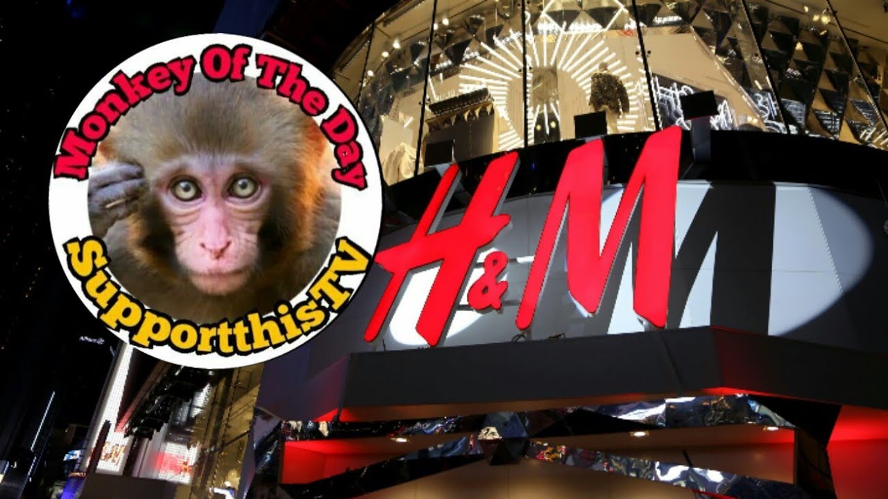 Monkey of the Day: H&M over Black kid Wearing a Monkey Ad Sweater and ...