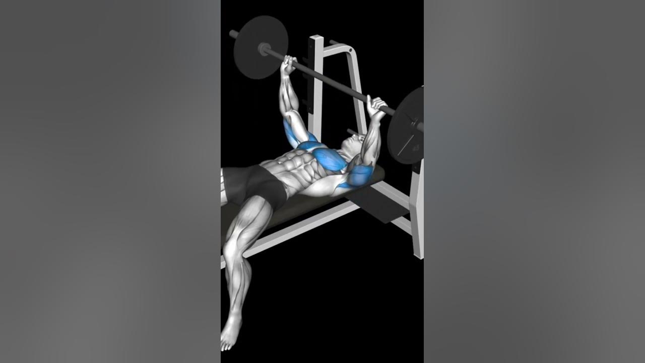 How To Barbell Bench Press Chest Workout Gym Chestworkout Youtube