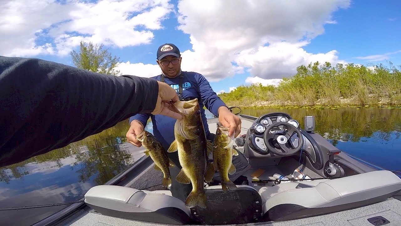 KICKING ASS Bass Fishing In ALLIGATOR INFESTED Water!!! - YouTube
