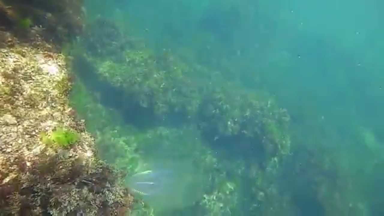 Black Sea Underwater - YouTube