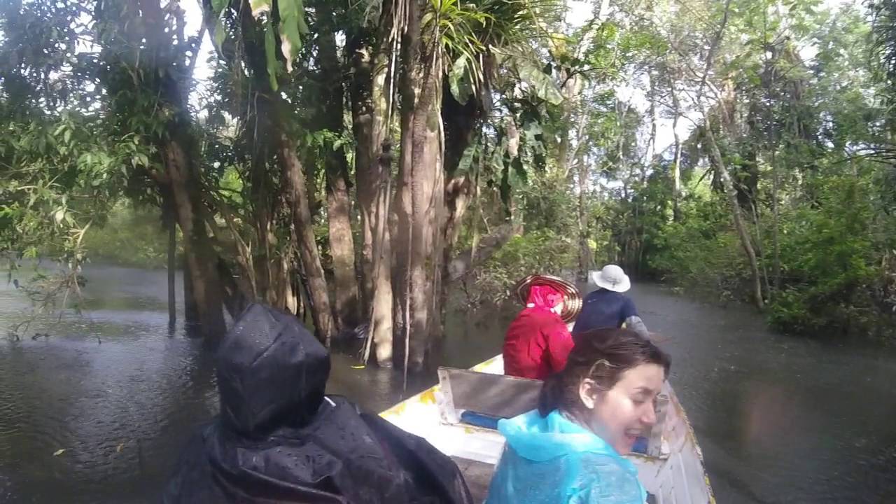 Under the rain in the Amazon Rainforest!! - YouTube