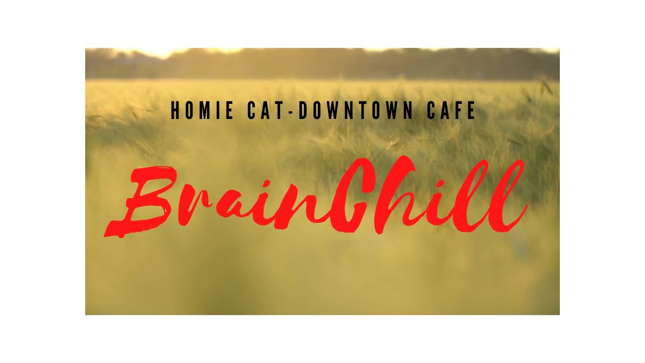 Homie Cat - Downtown Cafe [Non-Copyrighted Music] Chill Jazzy Lofi Hip ...