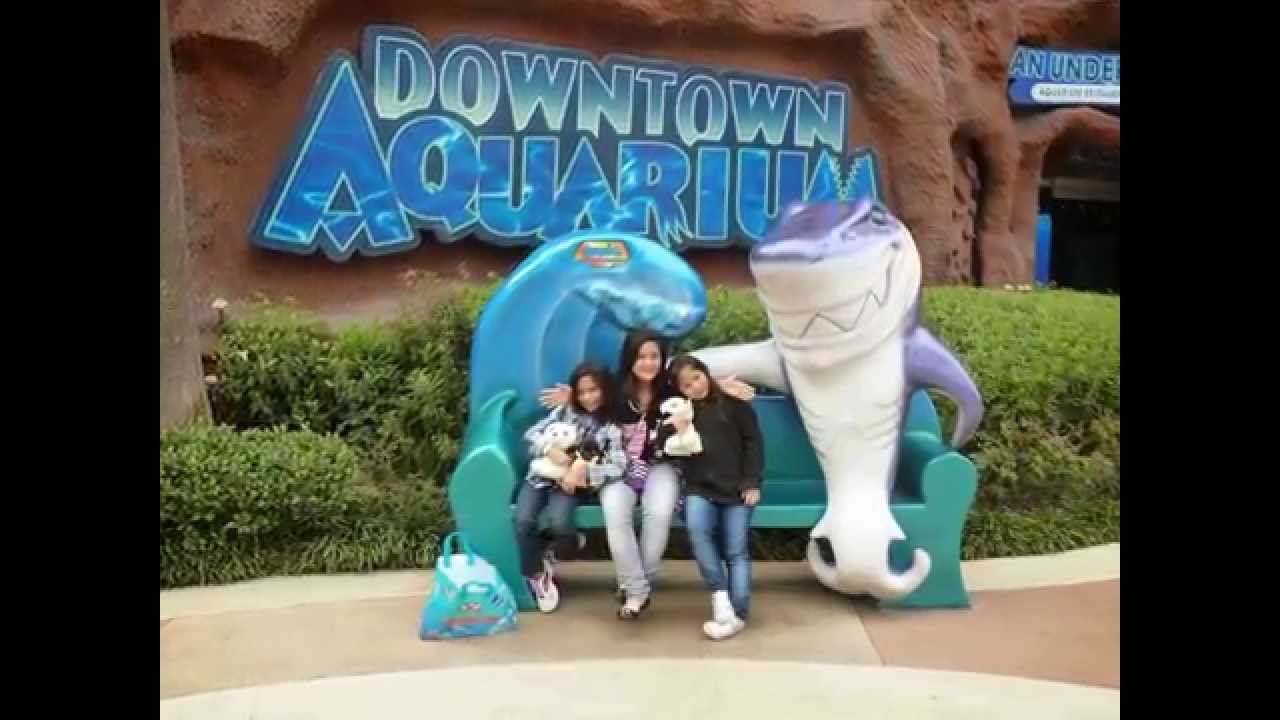 Parque Acuático Houston - YouTube