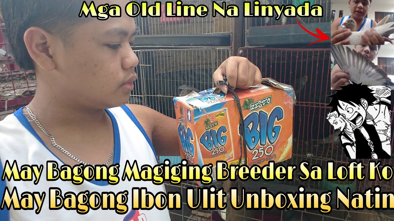 May Bagong Ibon Ulit Tara Unboxing Natin Yung Magiging Bagong Breeder 🕊 ...