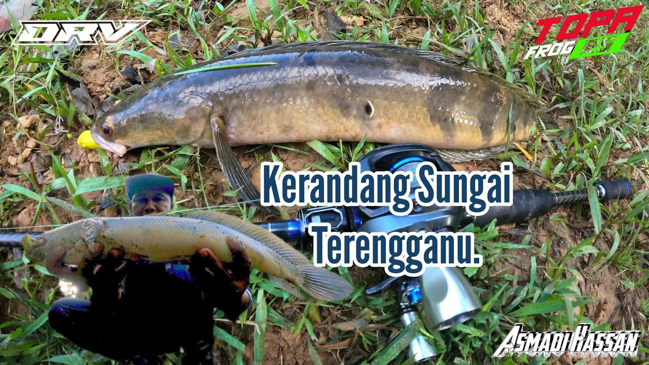 Sport Kerandang Sungai Terengganu - YouTube