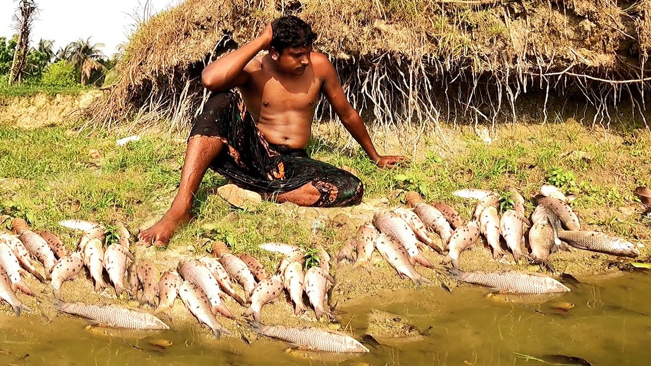 বাবু ভাইয়ের সব মাছ মরে গেল | Natural Fishing Project Fail - YouTube