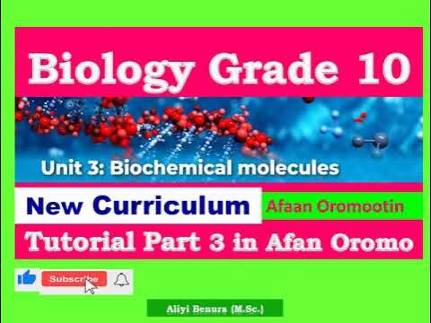 New Curriculum Biology Grade 10 Unit 3 Biochemical Molecules Tutorial ...