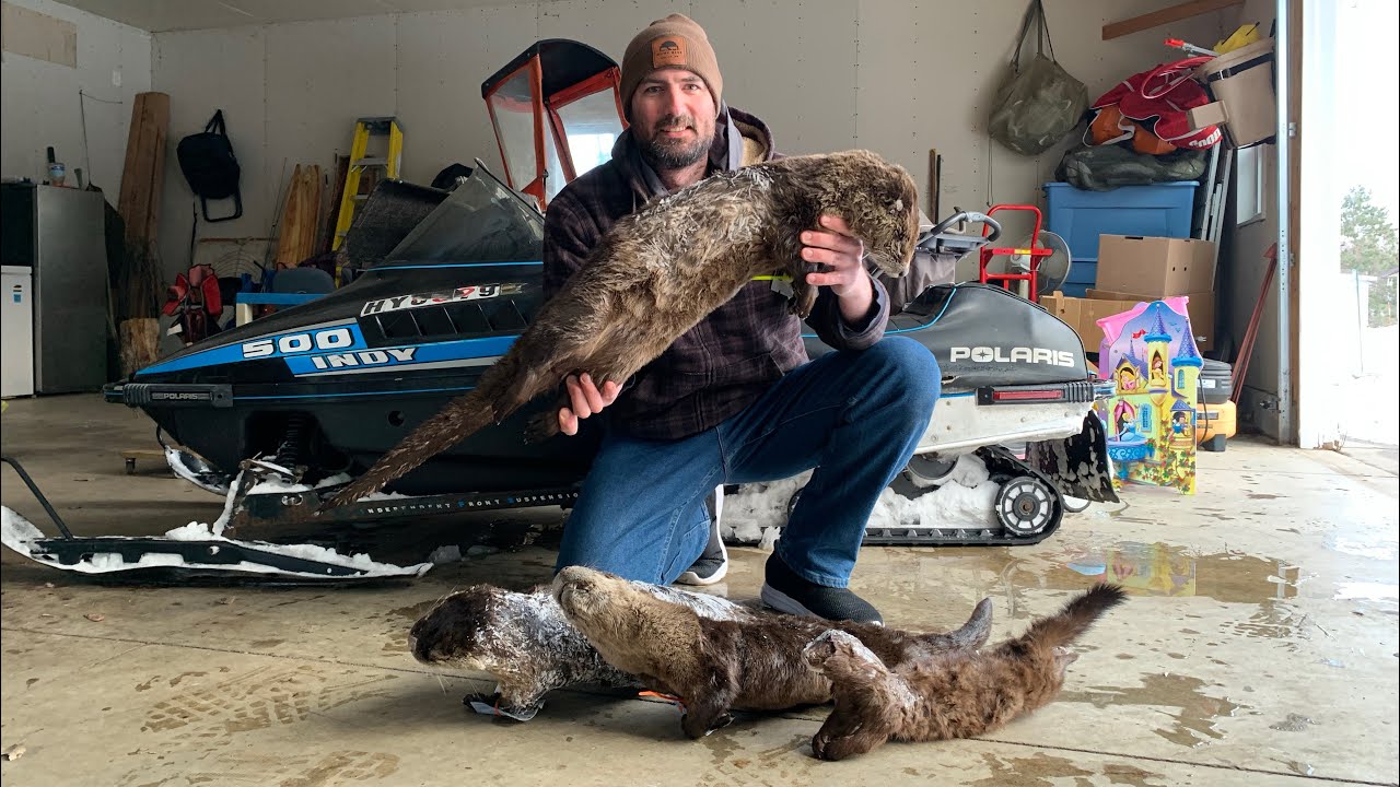 Minnesota Otter Trapping (dive pole set) - YouTube