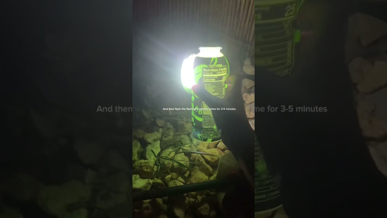 How to make glowberry prime glow in the dark Realtime YouTube Live View ...