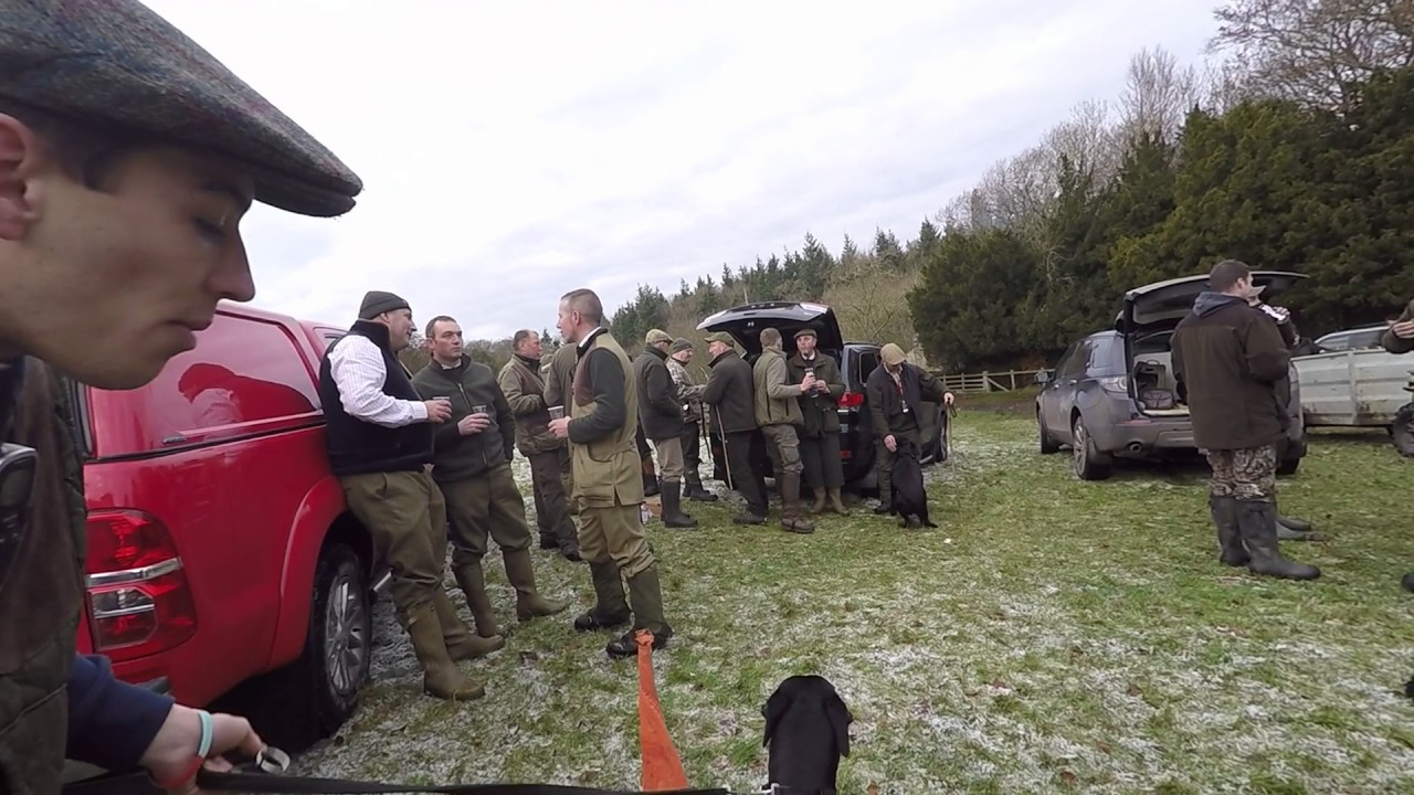 Nunwick Pheasant Shoot Simonburn - YouTube