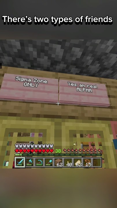 There’s two types of friends (our old survival world)#minecraft #minecraftmemes #funny #fypシ゚ ...