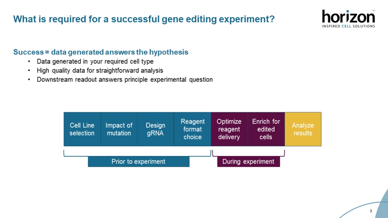 Gene Editing Success: Considerations for maximizing your CRISPR gene ...
