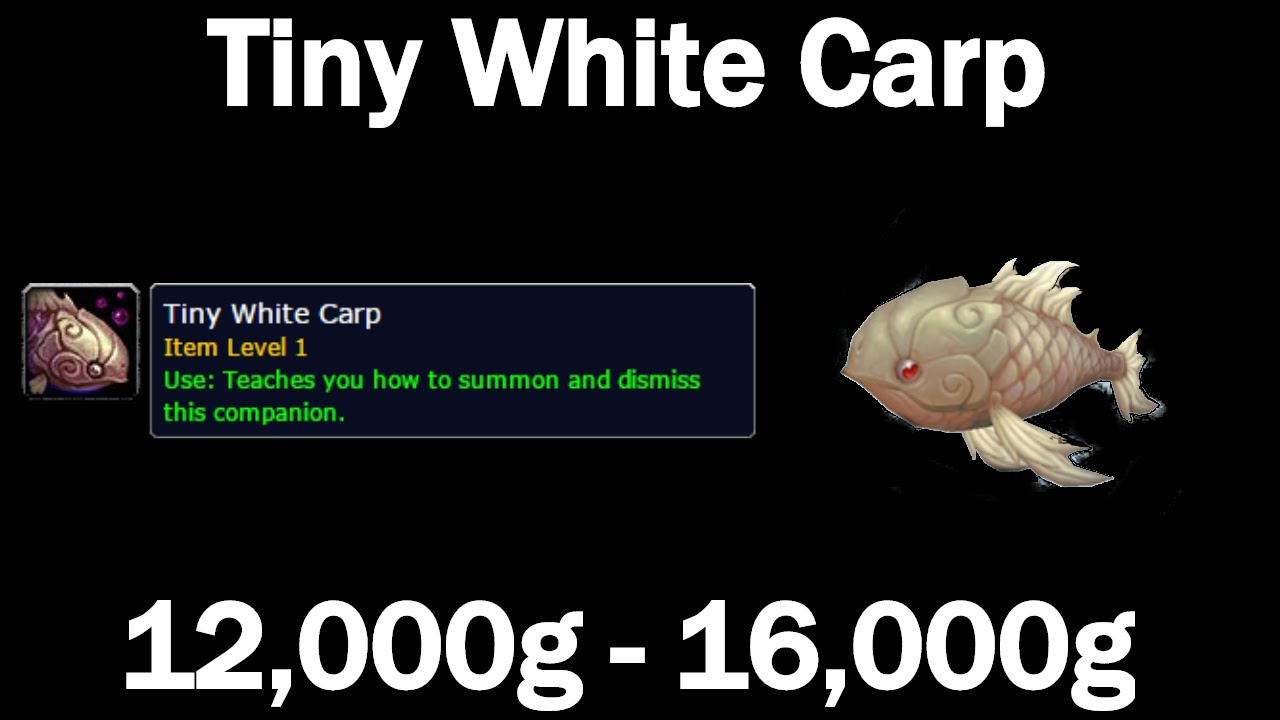 Tiny White Carp! How To Make 12,000 - 16,000 Gold from Fishing! - YouTube