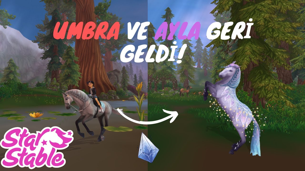 SSO/ Umbra ve Ayla geri geldi! -STAR STABLE HABERLERİ- - YouTube