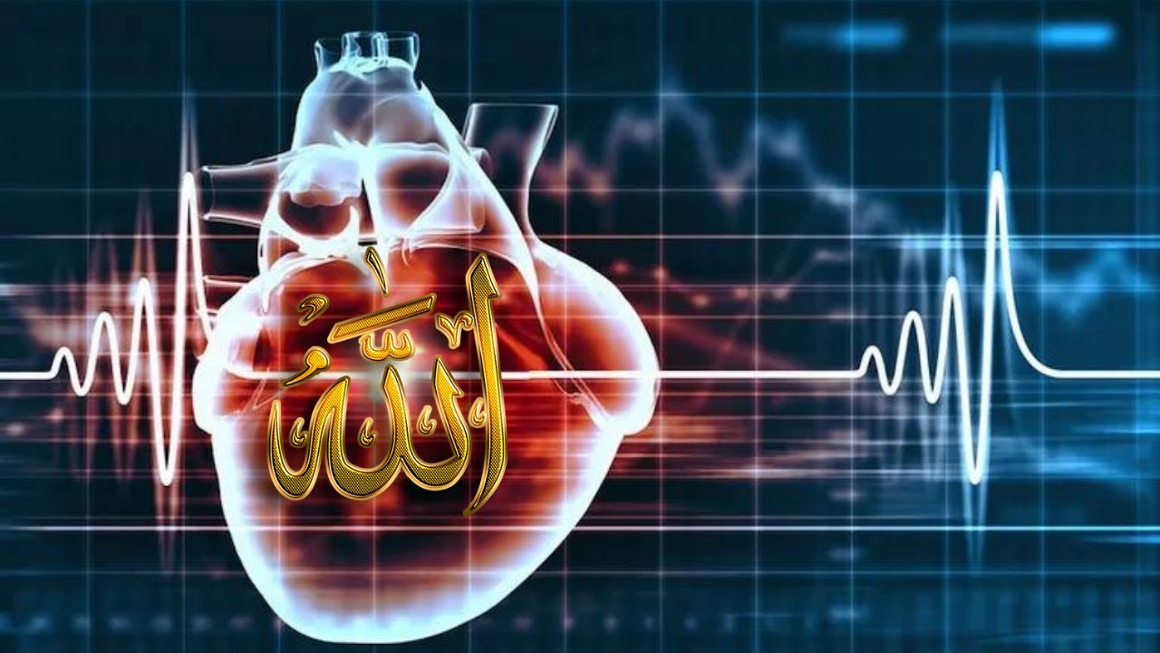 Zikr Allah Heart Touching | Relaxing Zikr | 40 Minutes # ... Zikr Allah Heart Touching | Relaxing Zikr | 40 Minutes # ...